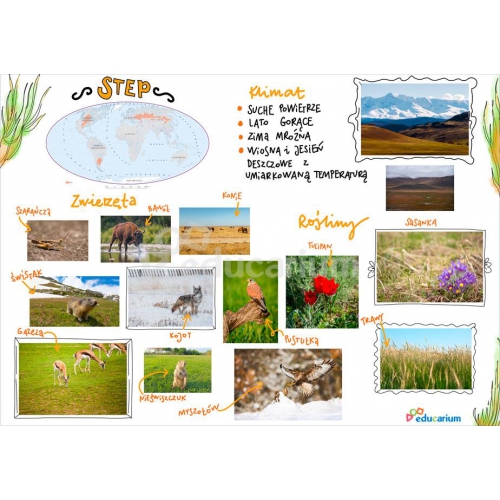 Krajobrazy Świata – Step 137x95 cm - Meritum