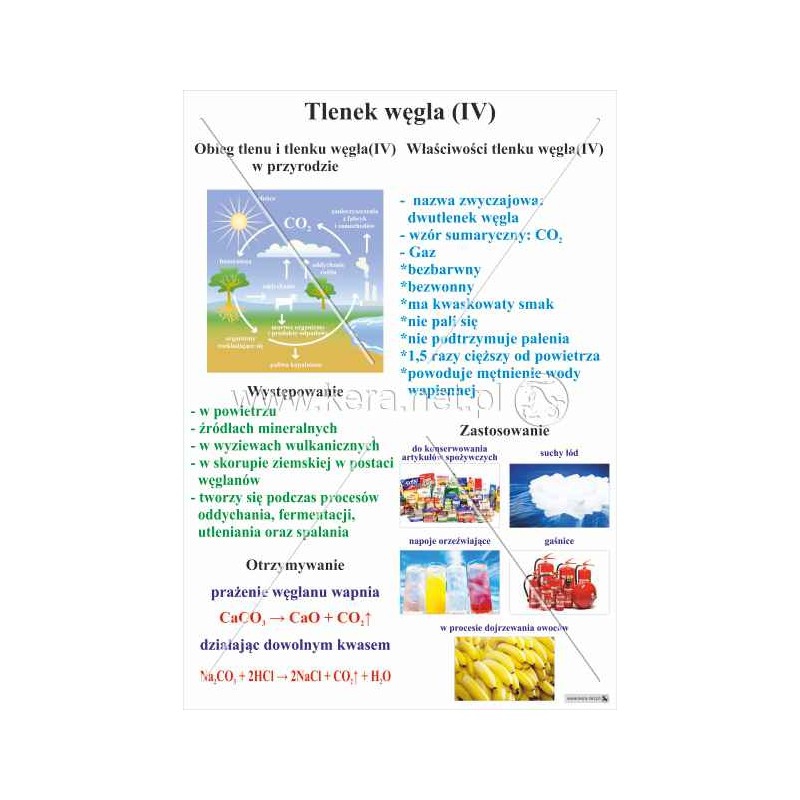 3003 Tlenek węgla (IV) - Pomoce dydaktyczne, szkolne i naukowe | Meritum 3003 Tlenek węgla (IV) - Pomoce dydaktyczne, szkolne i naukowe | Meritum