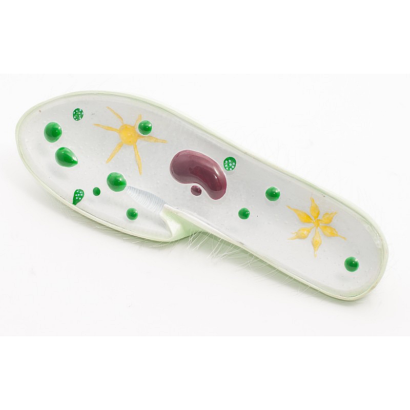 Pantofelek - model - Meritum