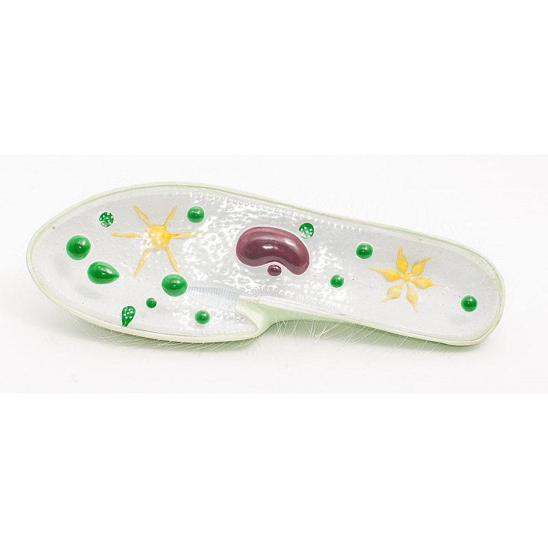 Pantofelek - model - Meritum